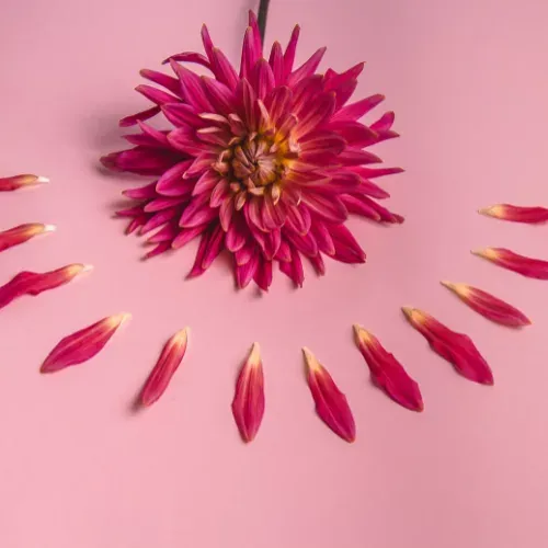Menstruatie In De Overgang: Alles Wat Je Moet Weten